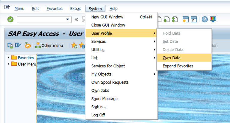 SAP CHEAT SHEET: A Friendly Getting Started Guide for New SAP Users ...
