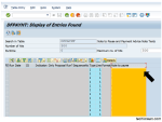 SAP DME Note to Payee Functionality – Techlorean.