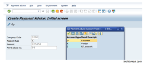 Understanding SAP Payment Advice and Purpose – Techlorean.